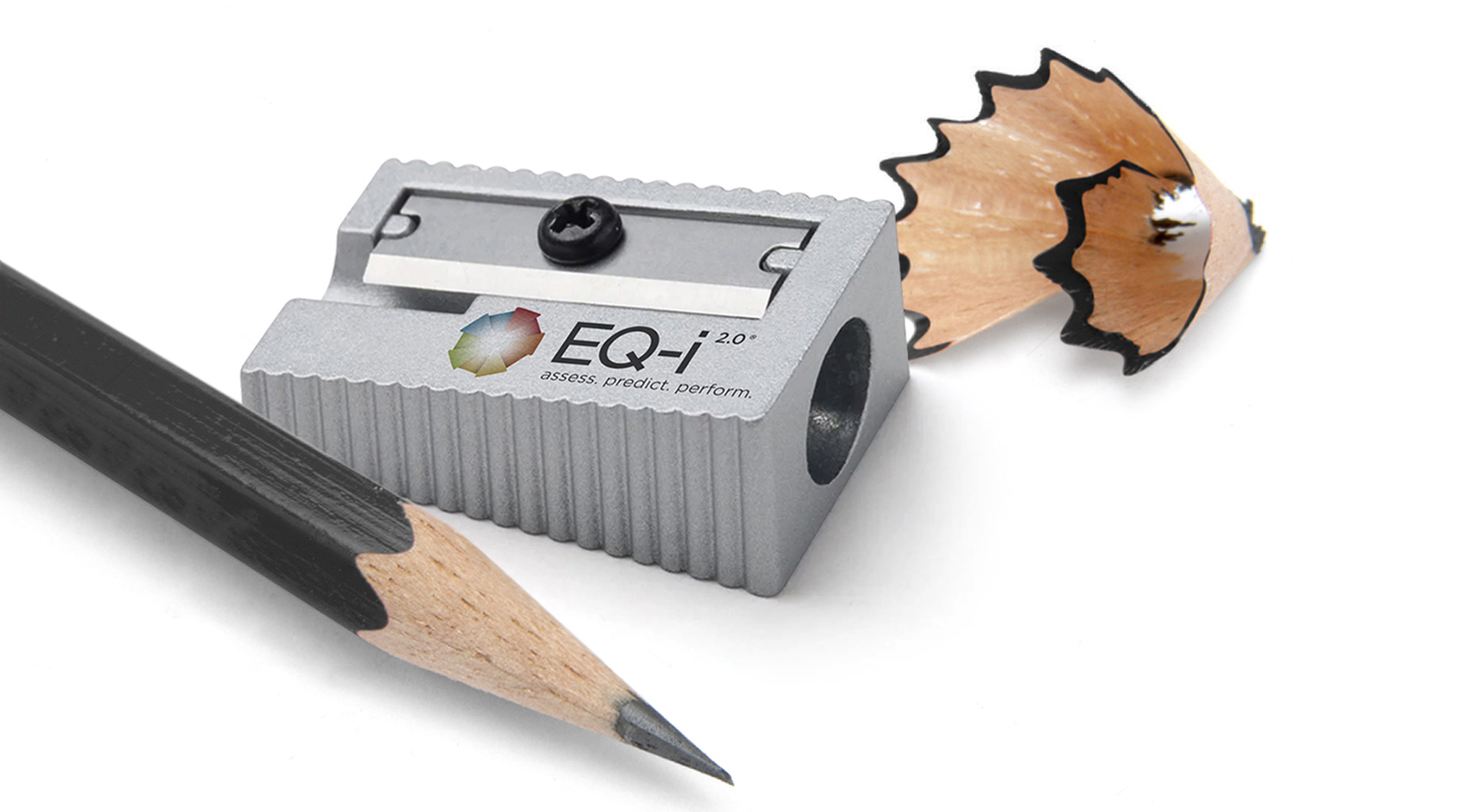 Certificación EQi(Emotional Quotient Inventory) - MRC Training